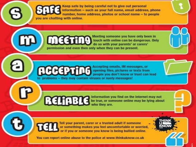 Computer Project on Cyber Safety | PPTX