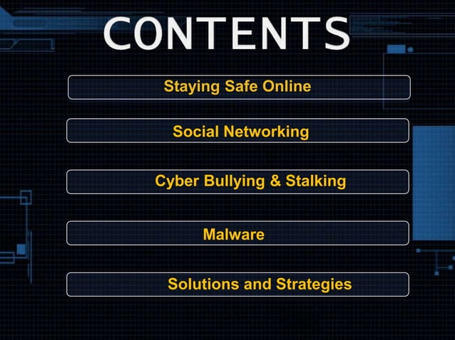 Computer Project on Cyber Safety | PPTX