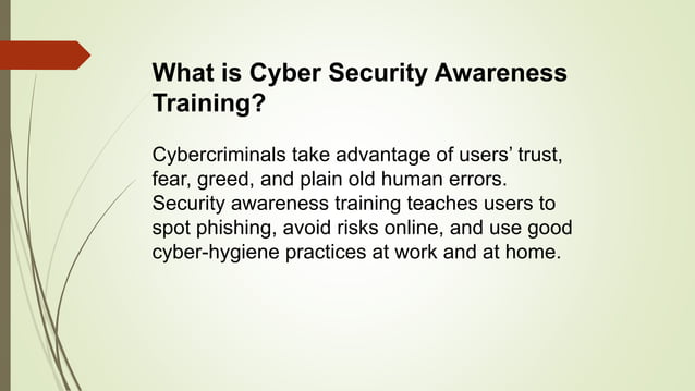 Cyber Security Awareness for safety.pptx