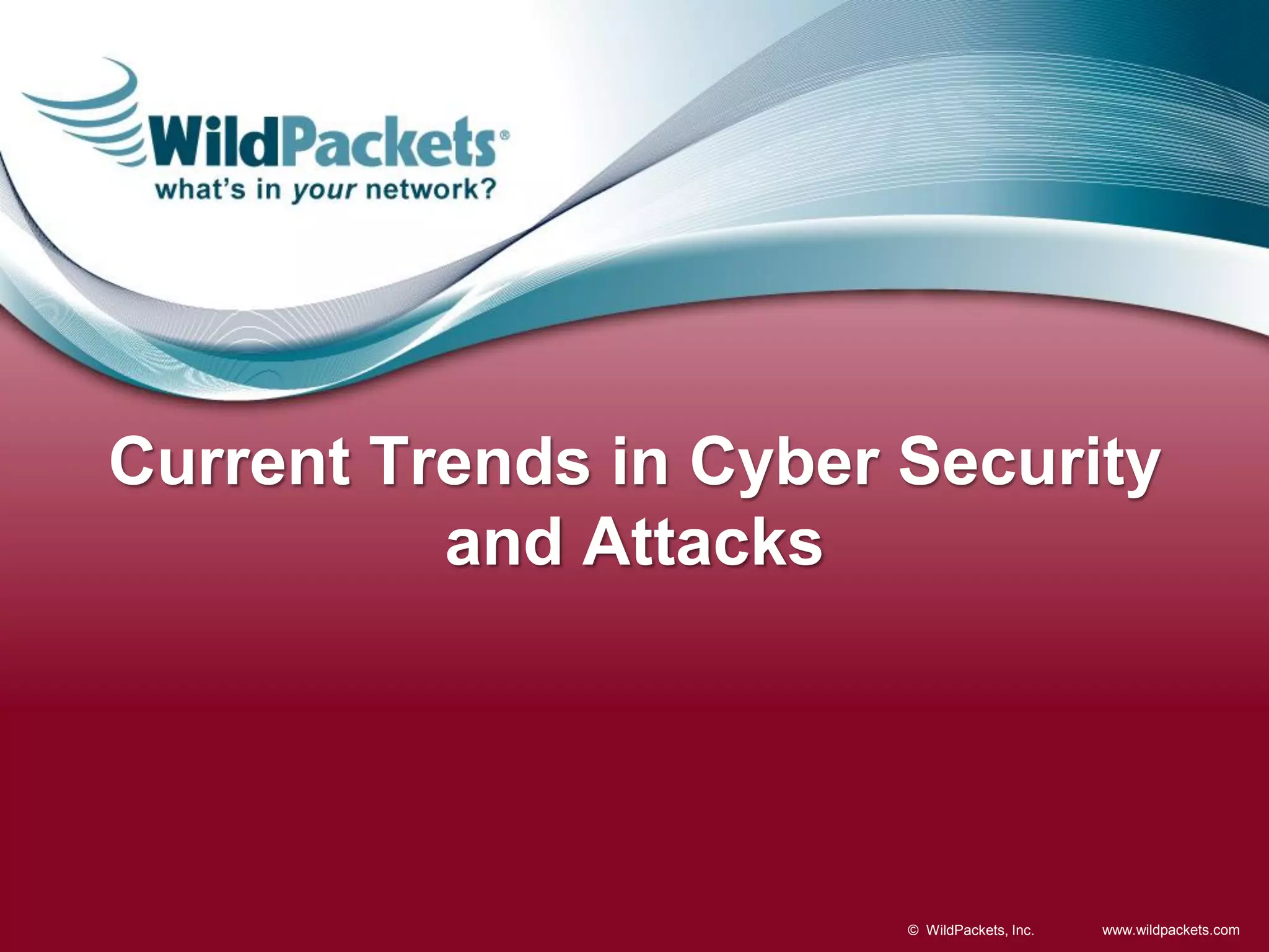 Cyber Security - IDS/IPS is not enough | PDF