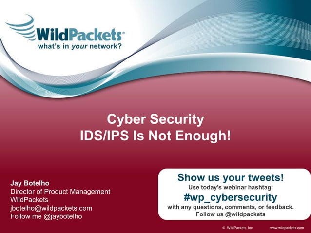 Cyber Security - IDS/IPS is not enough | PDF