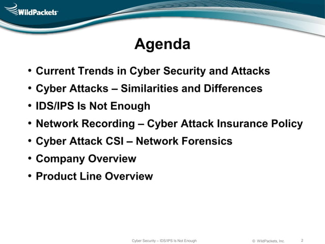 Cyber Security - IDS/IPS is not enough | PDF