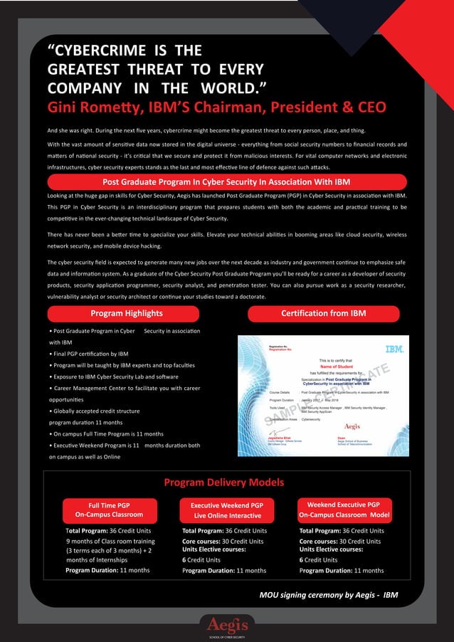 Cyber security brochure(1) | PDF