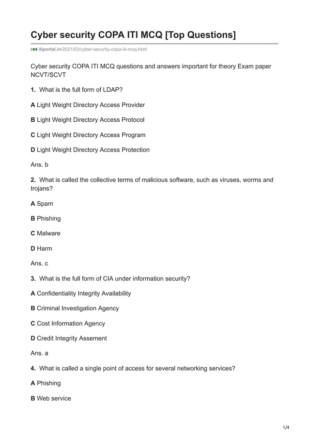 Cyber security COPA ITI MCQ Top Questions | PDF