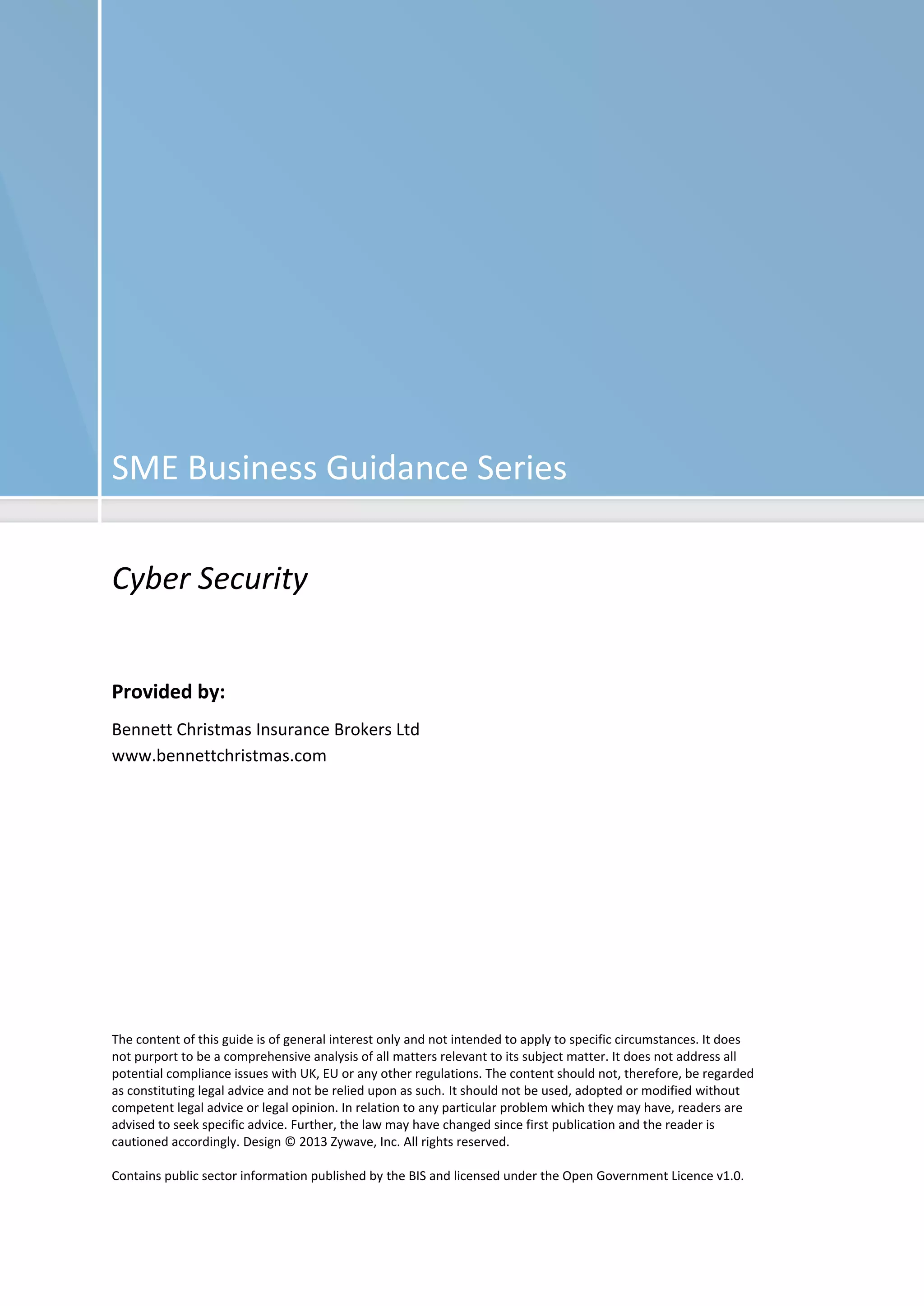Cyber security guide | PDF