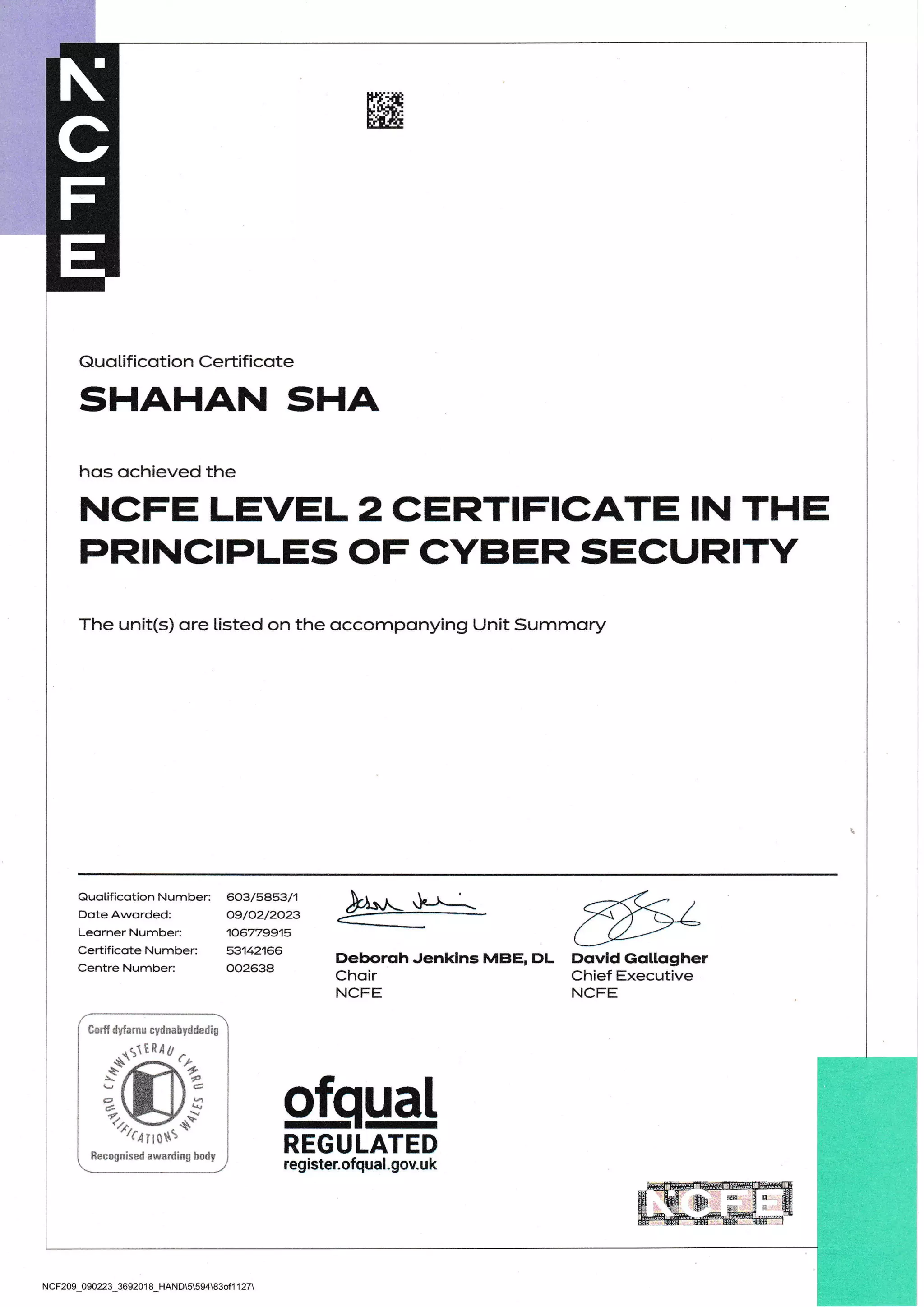 Cyber Security Level 2 | PDF