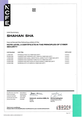 Cyber Security Level 2 | PDF