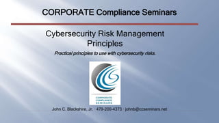 Cybersecurity Risk Management Principles | PPTX