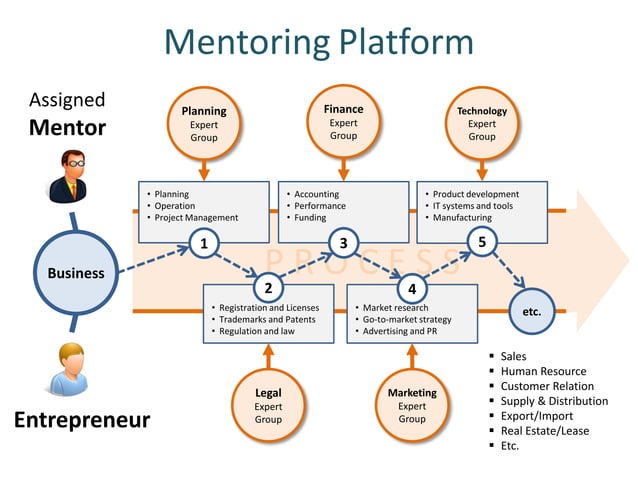 Mentoring Platform | PDF