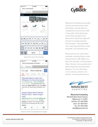 Cyblock IOS App Datasheet | PDF | Internet | Computing
