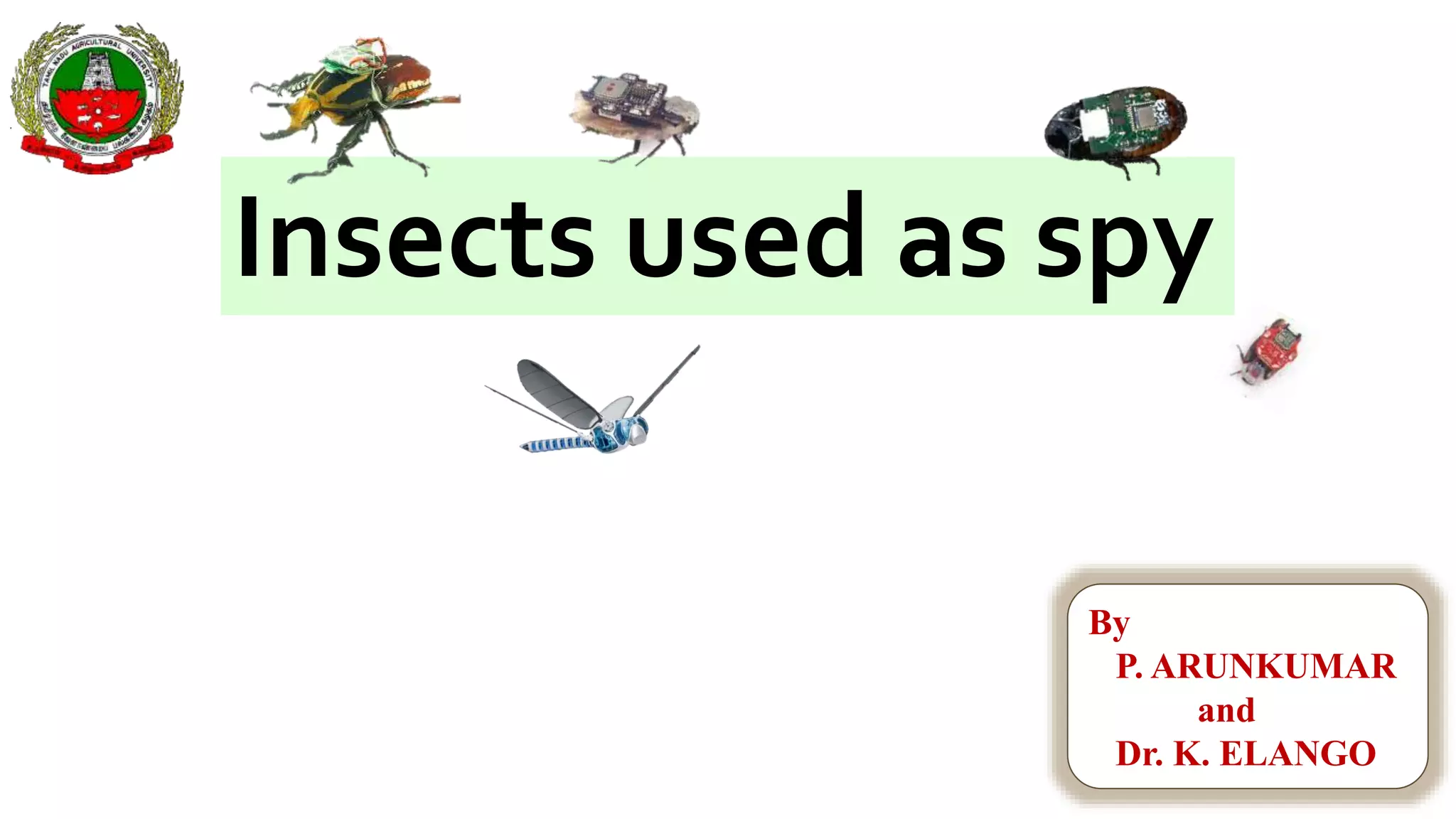 Cyborg insects as spy insects | PPTX