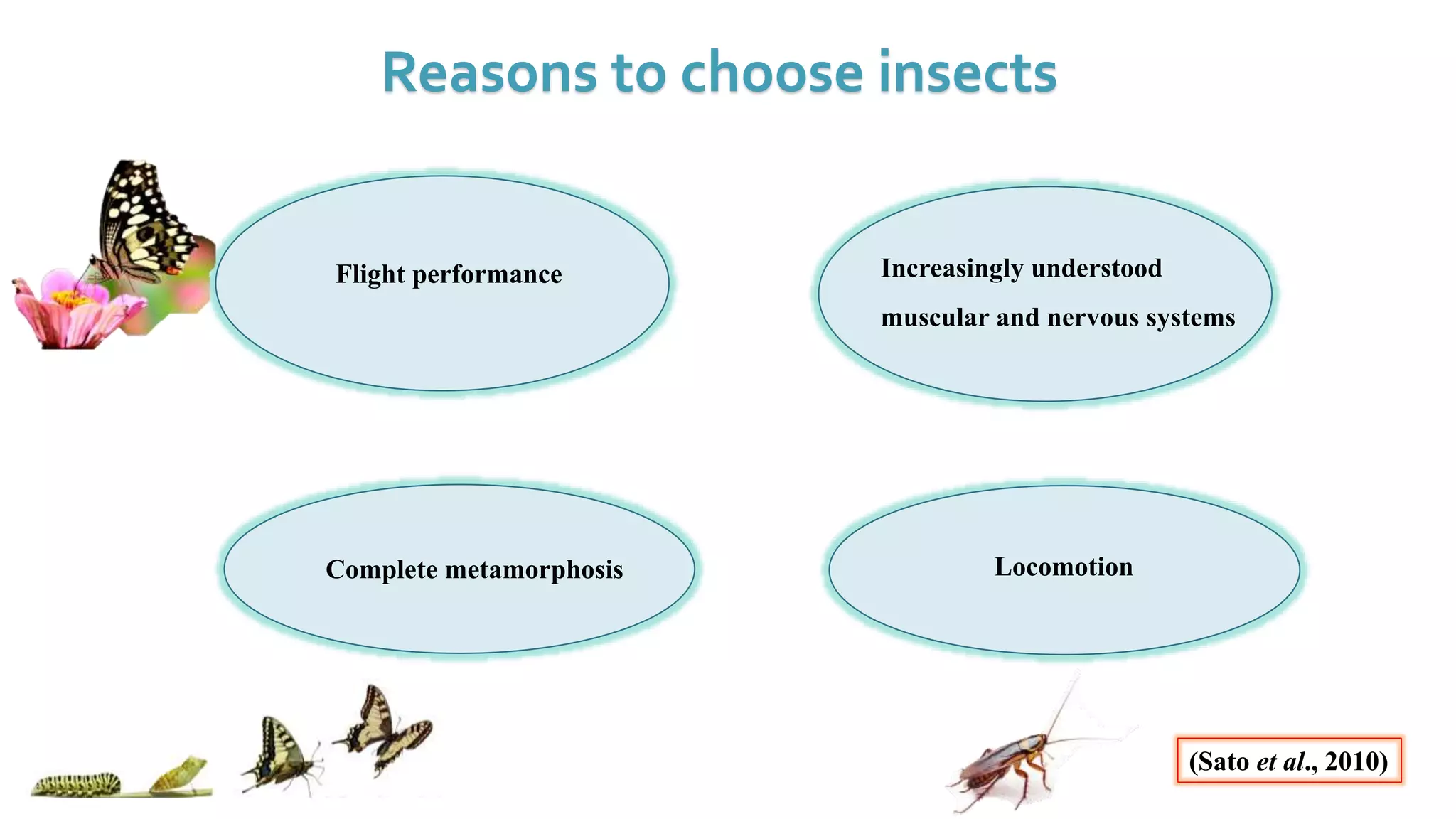 Cyborg insects as spy insects | PPTX