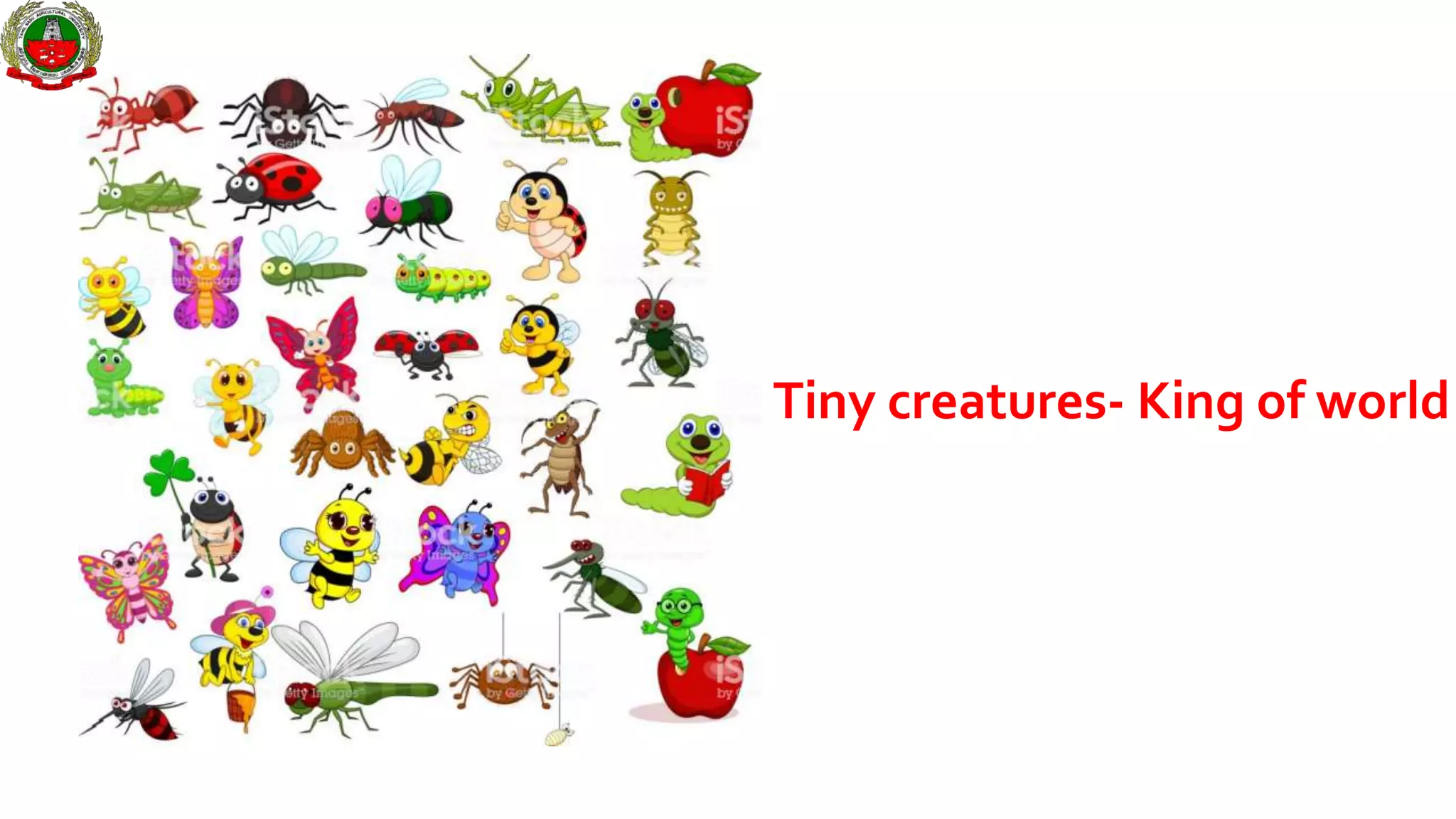 Cyborg insects as spy insects | PPTX