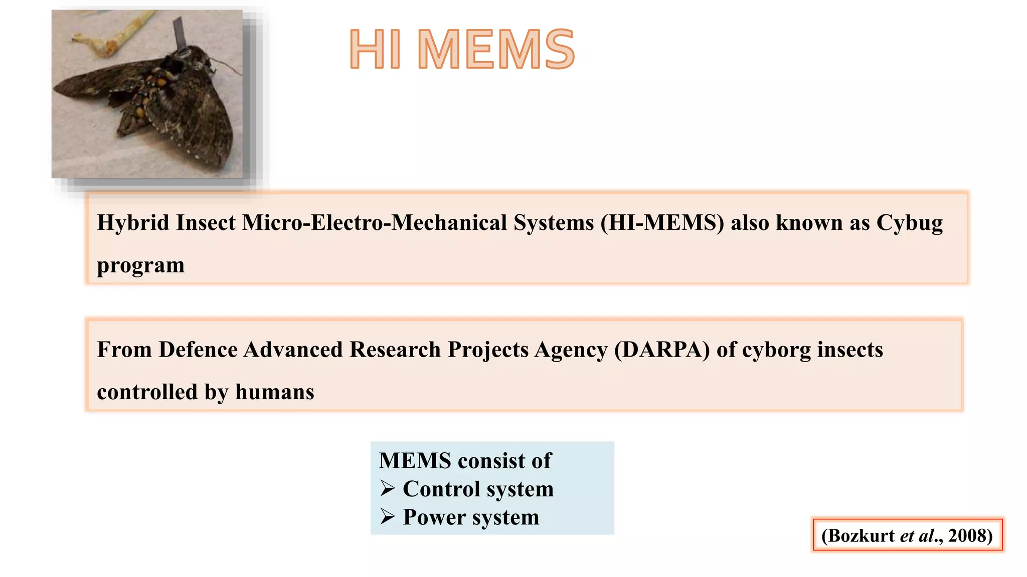 Cyborg insects as spy insects | PPTX