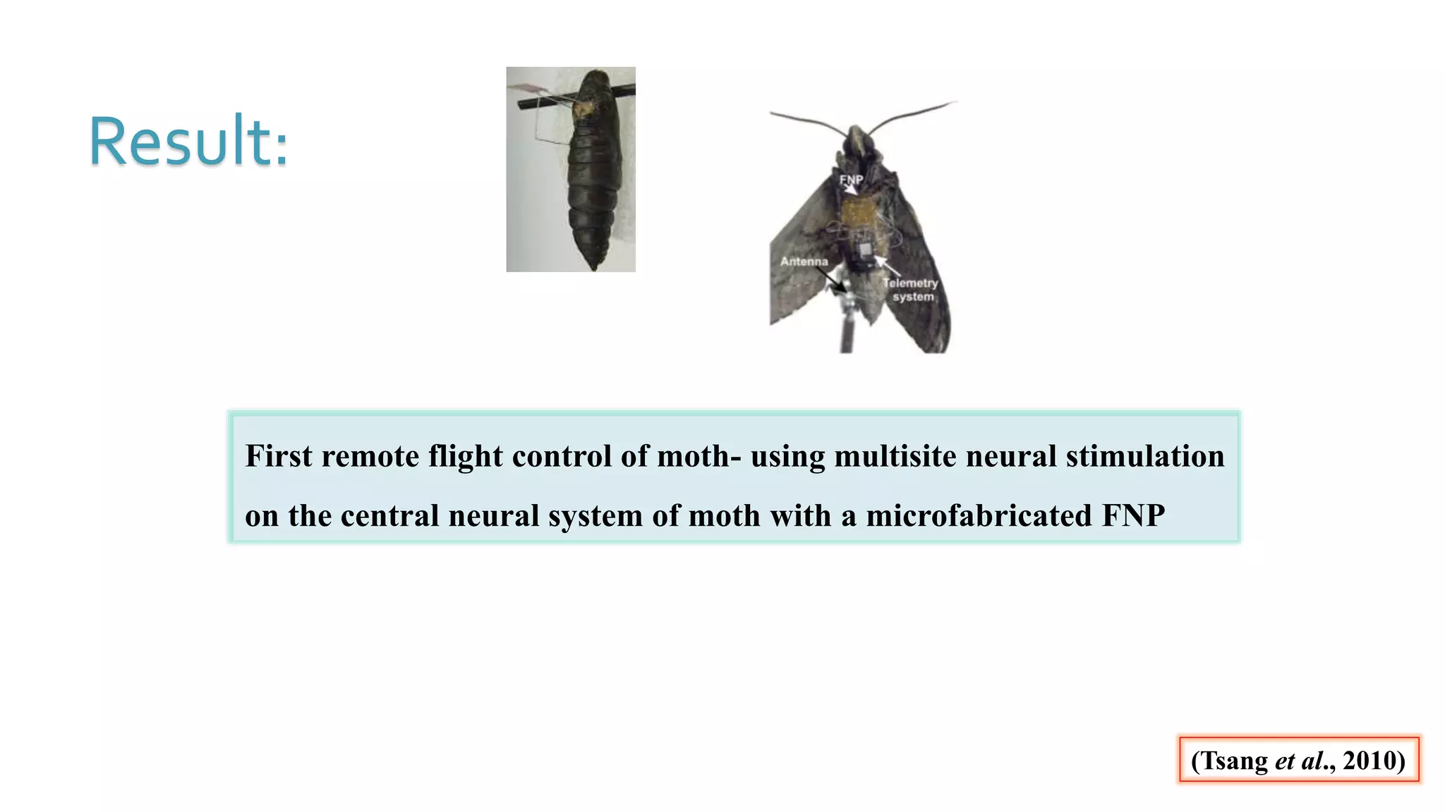 Cyborg insects as spy insects | PPTX