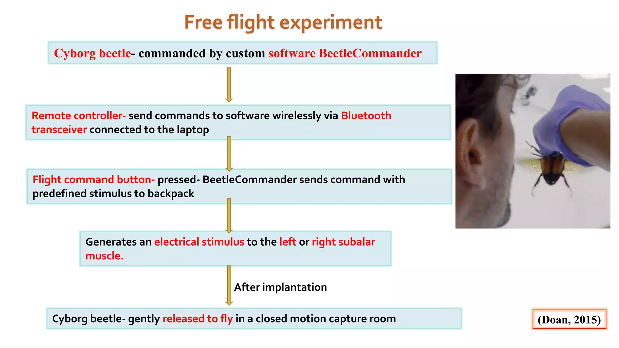 Cyborg insects as spy insects | PPTX