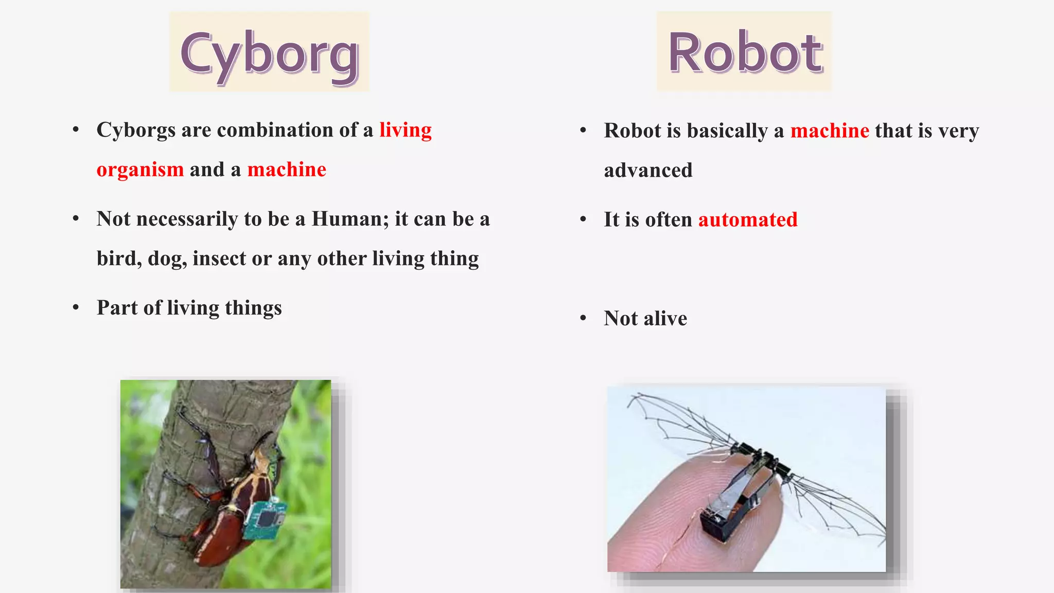 Cyborg insects as spy insects | PPTX