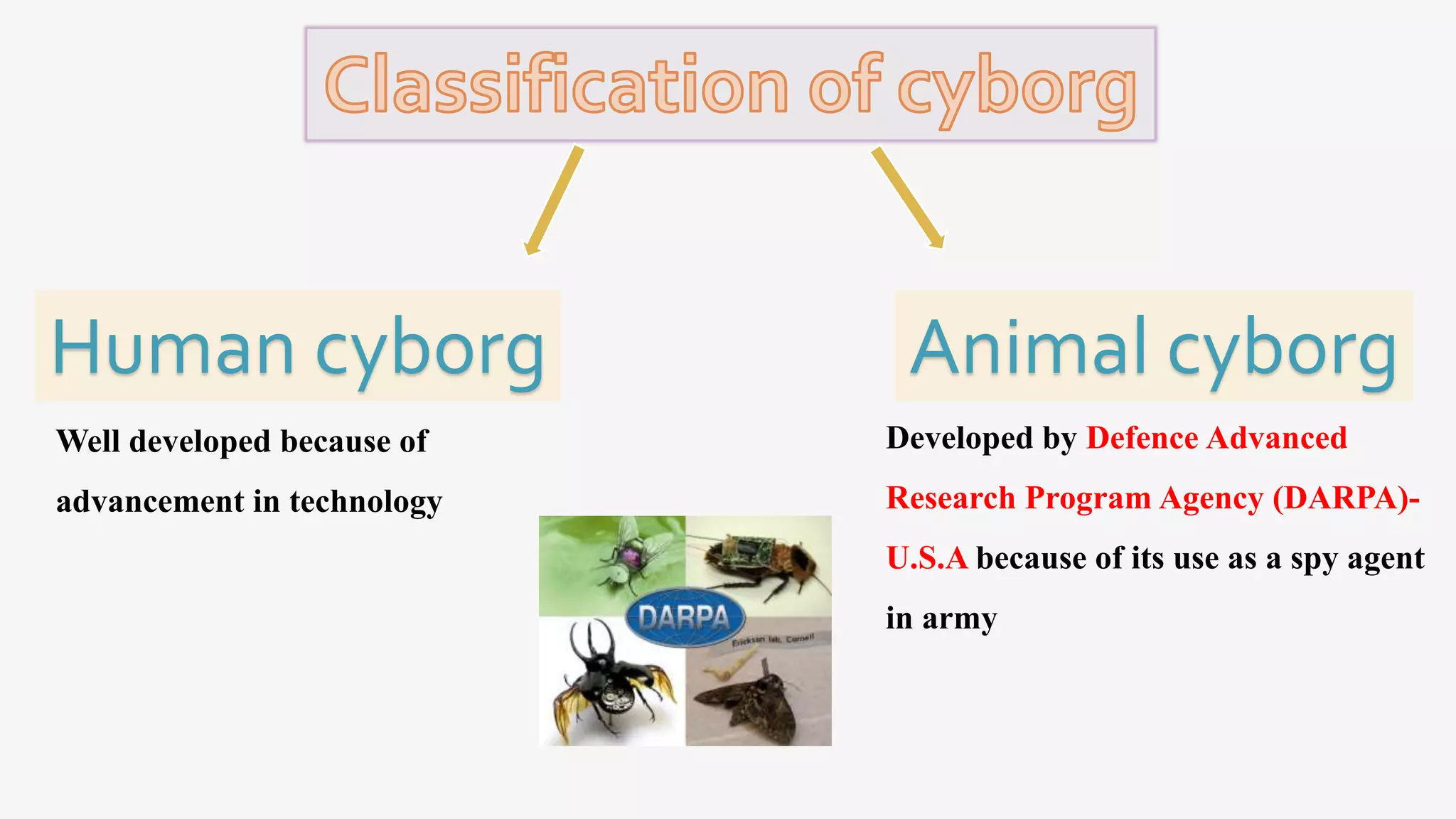 Cyborg insects as spy insects | PPTX