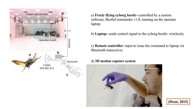Cyborg insects as spy insects | PPTX