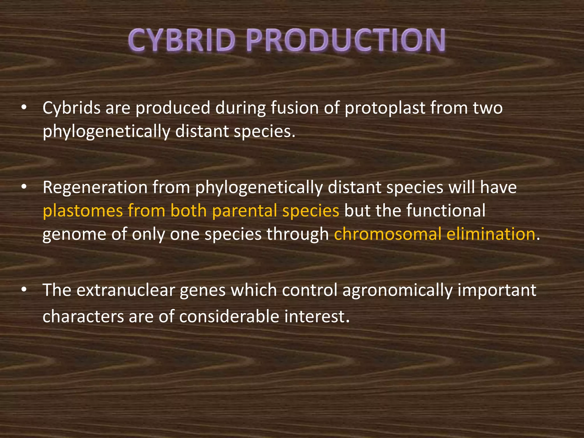 Cybrids | PPTX