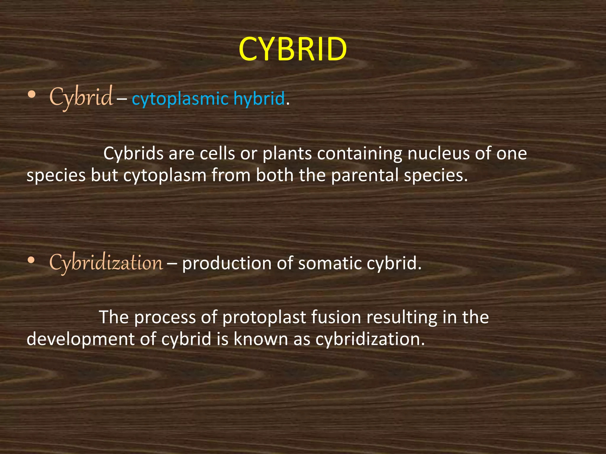Cybrids | PPTX