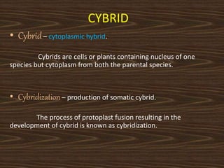 Cybrids | PPTX