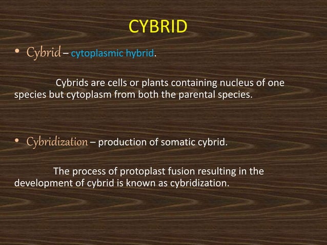 Cybrids | PPTX