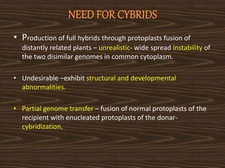 Cybrids | PPTX