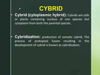 cybrids.pptx production_advanges_limitation | PPTX