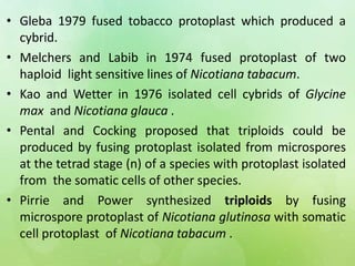 cybrids.pptx production_advanges_limitation | PPTX
