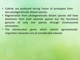 cybrids.pptx production_advanges_limitation | PPTX