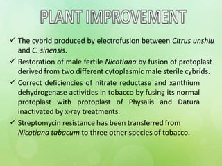 cybrids.pptx production_advanges_limitation | PPTX