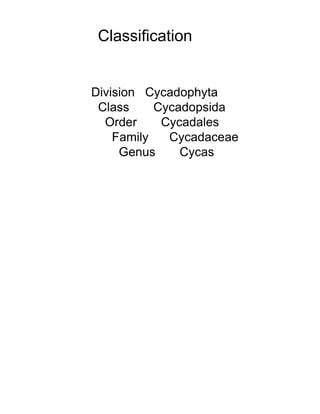 Cycas, gymnosperms, living fossil, botany | PDF