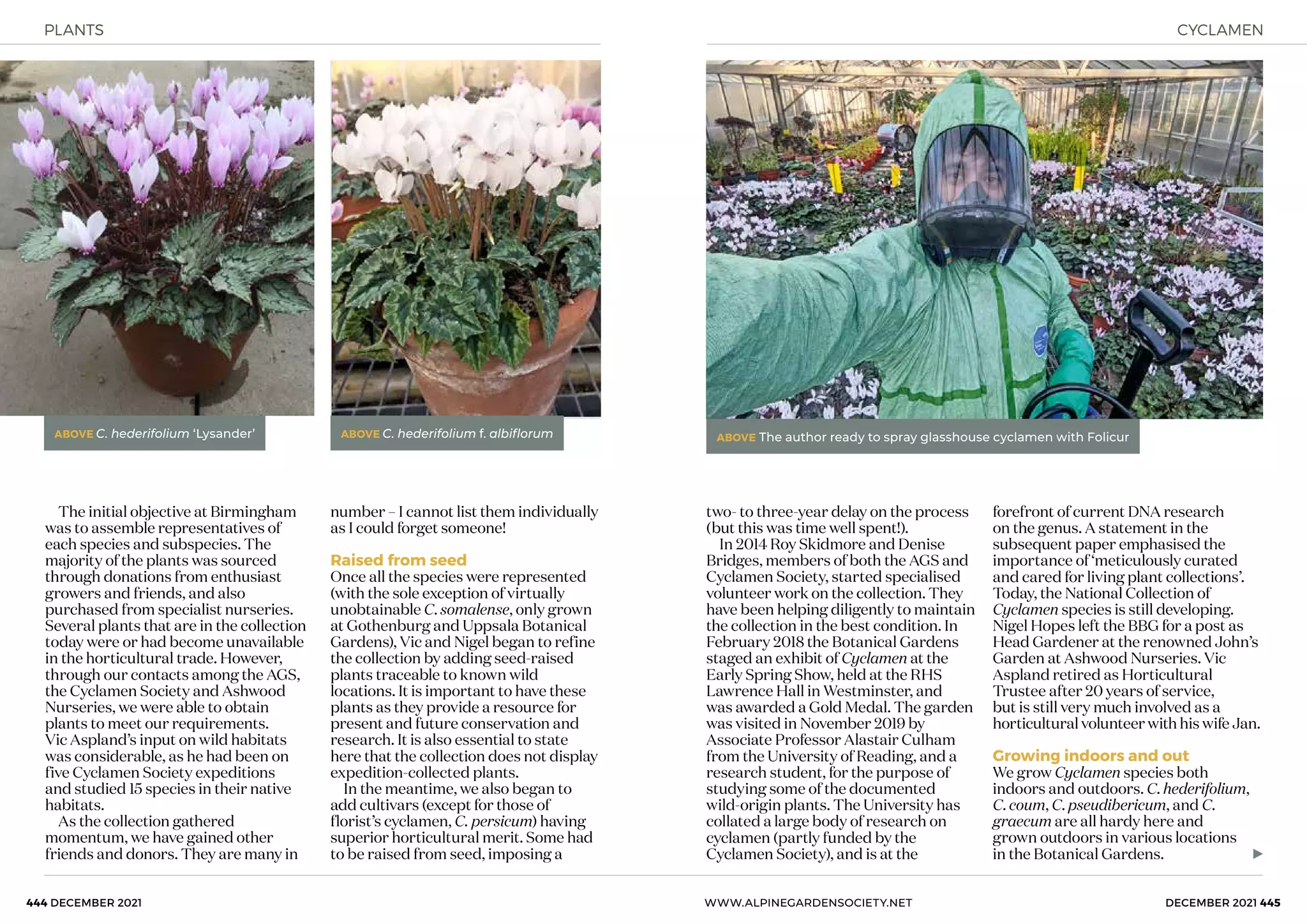 National Collection of Cyclamen at the Birmingham Botanical Gardens | PDF