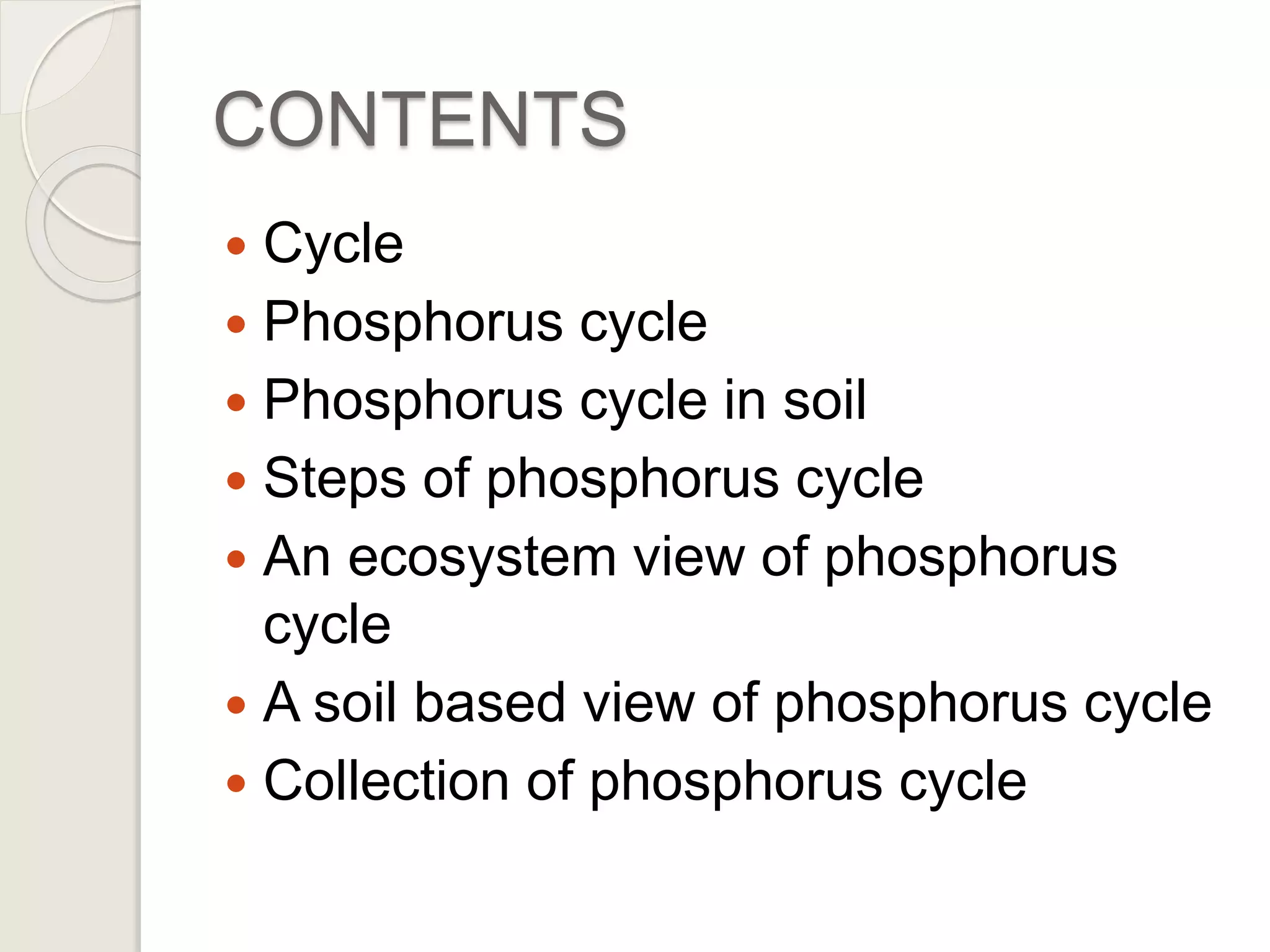 Phosphorus Cycle | PPTX