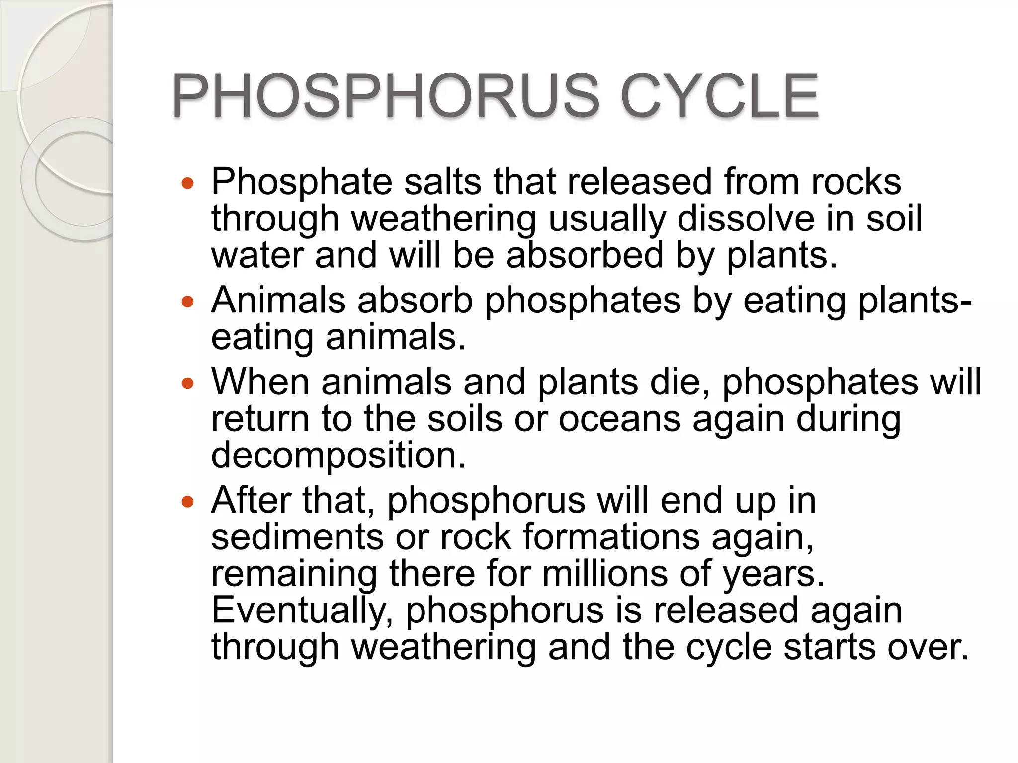 Phosphorus Cycle | PPTX