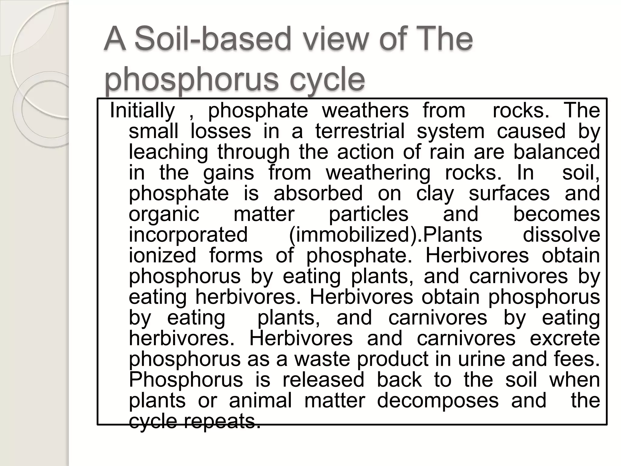Phosphorus Cycle | PPTX
