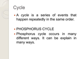 Phosphorus Cycle | PPTX