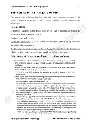 Cycle 1 sensory system | PDF