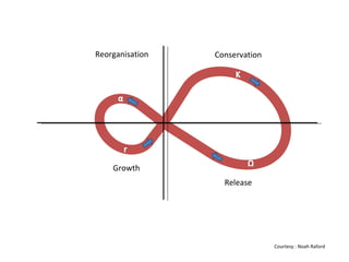 Cycle of adaptive change | PPT