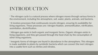 CYCLE OF NITROGEN IN NATURE presentation 10th grade biology ecology ...