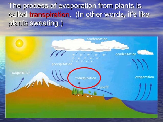 Cycle of rain | PPT