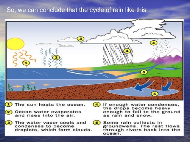Cycle of rain | PPT