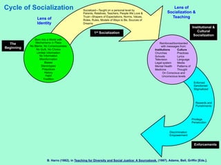 Cycle of Socialization | PDF
