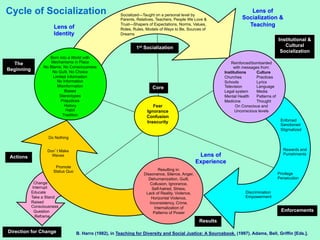 Cycle of Socialization | PDF