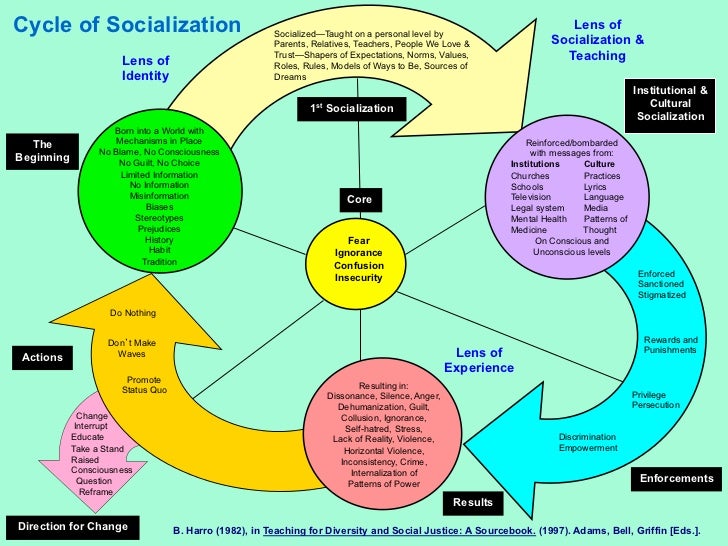 Cycle of Socialization