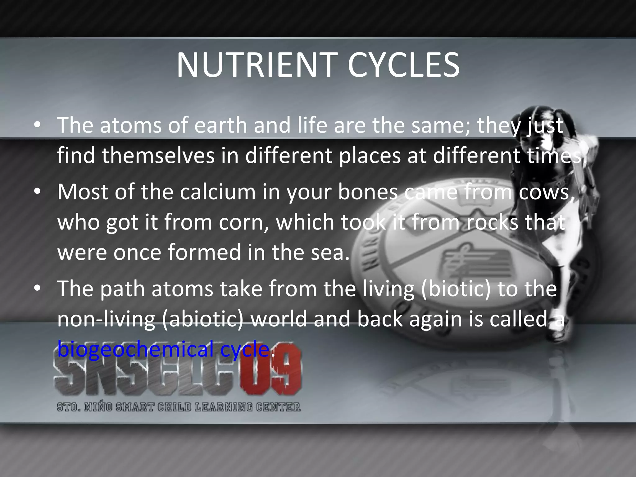 Nutrient Cycles | PPT