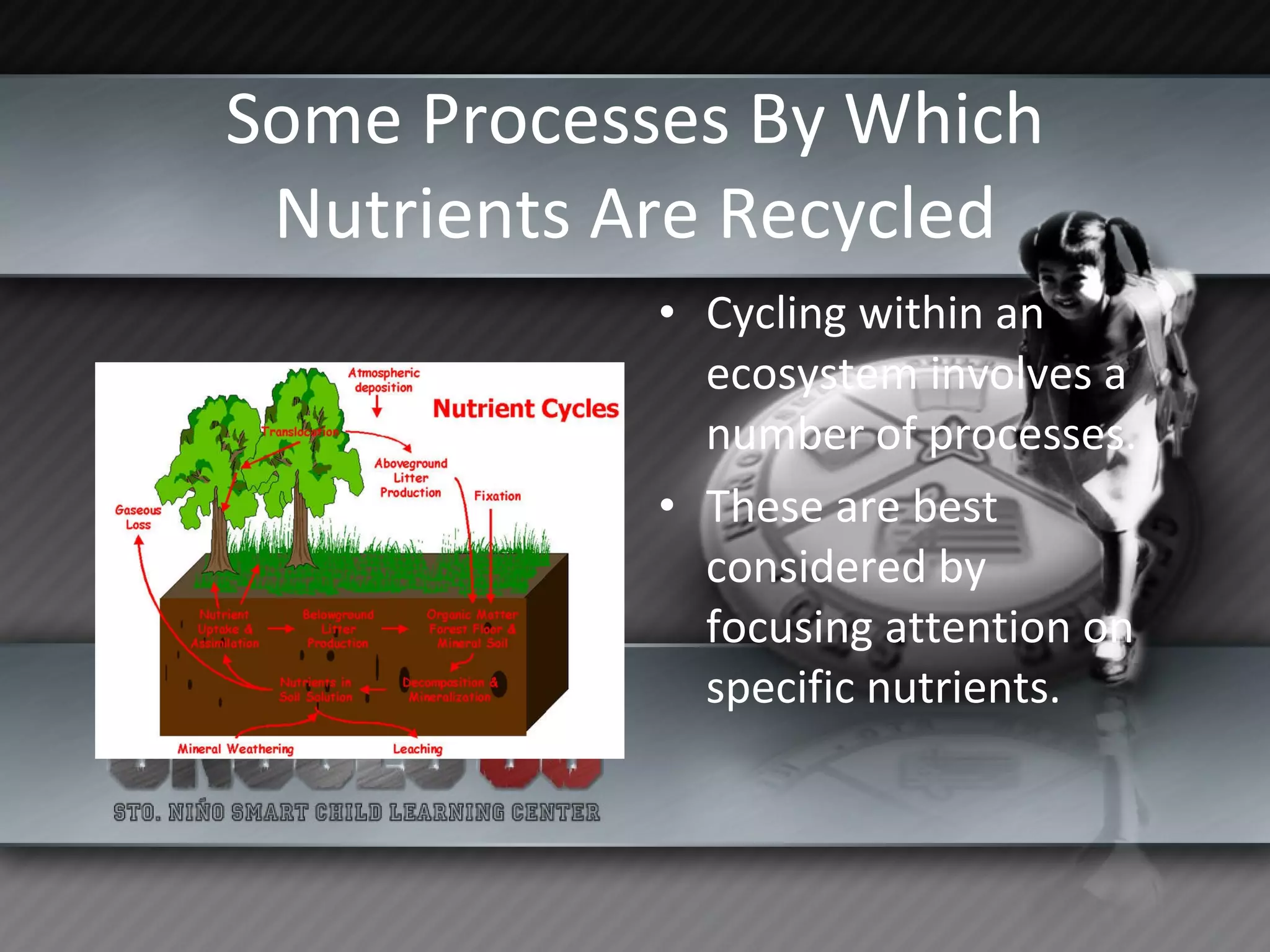 Nutrient Cycles | PPT