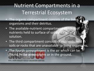 Nutrient Cycles | PPT