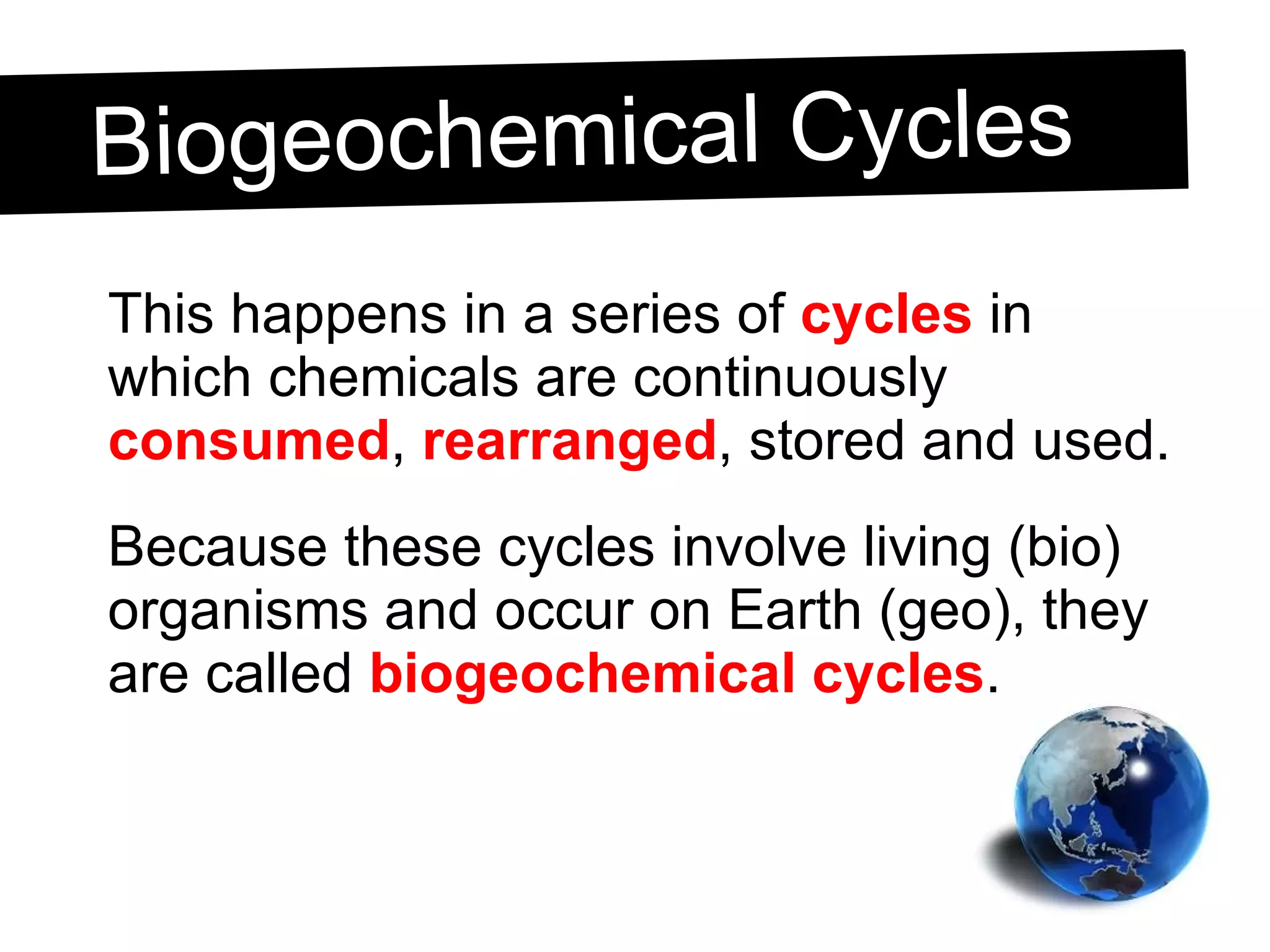 Cycling of Matter in Ecosystems | PPT
